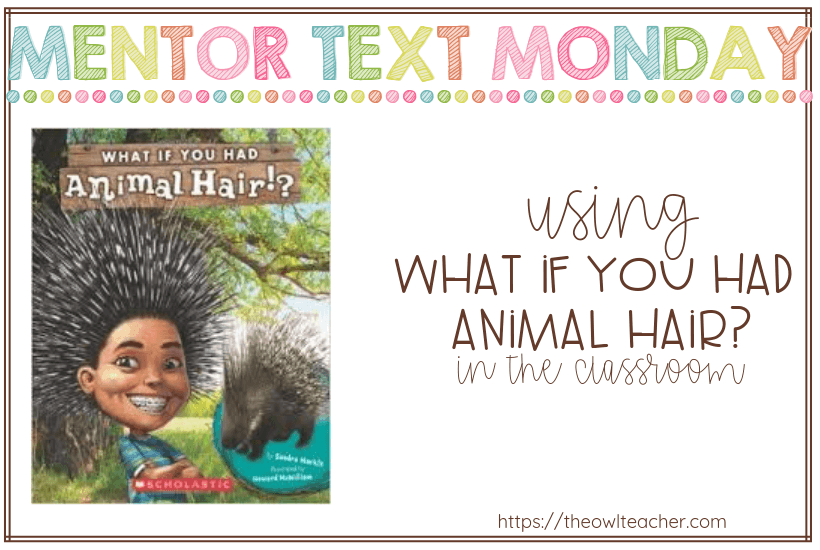 MTM: What If You Had Animal Hair? - The Owl Teacher