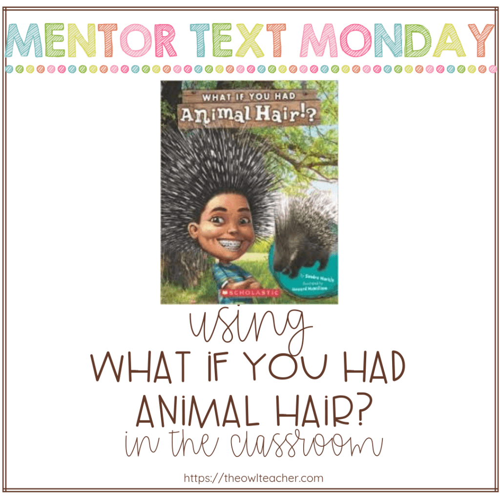 MTM: What If You Had Animal Hair? - The Owl Teacher