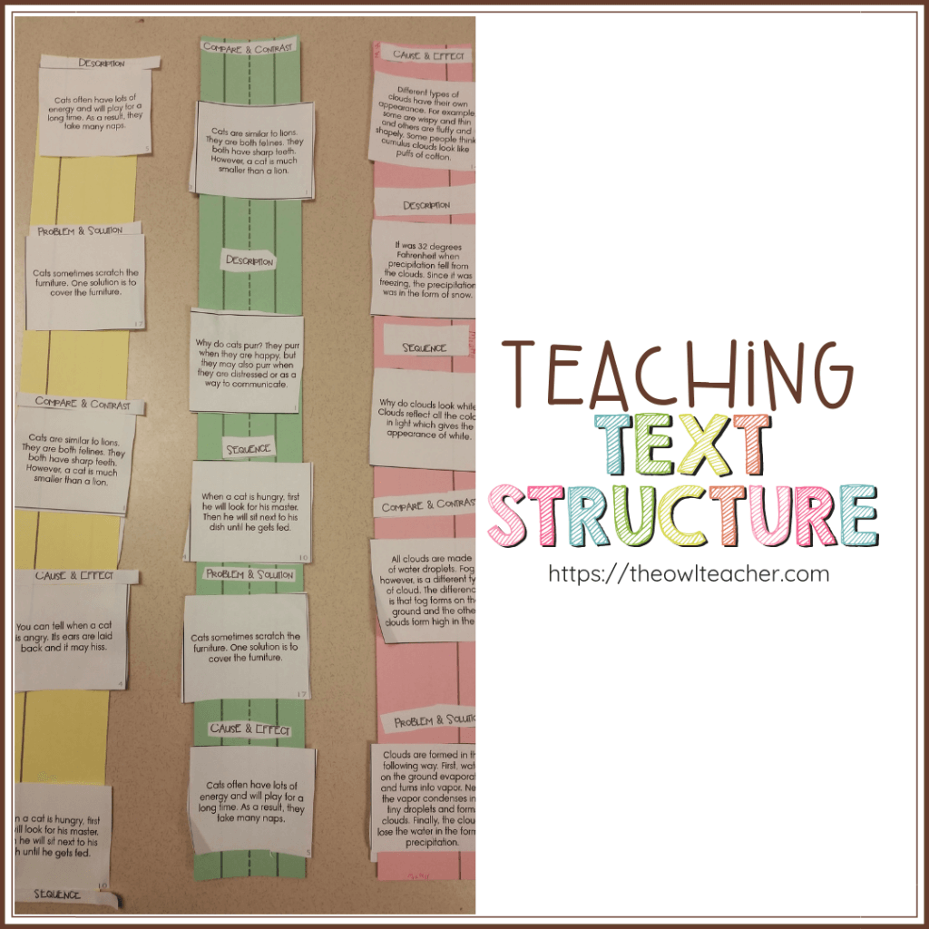 Spicing Up Text Structure - The Owl Teacher