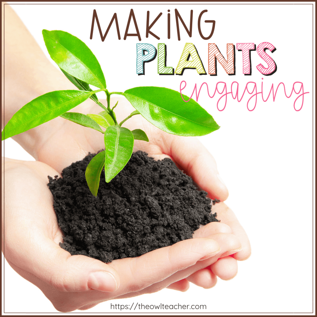 Making Plants Engaging Through Plant Activities - The Owl Teacher
