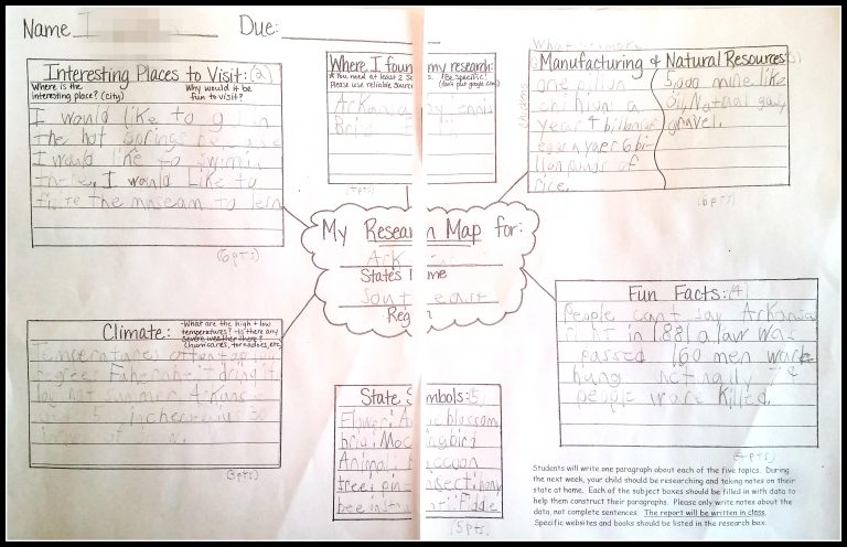 State Research T-Shirt Project - The Owl Teacher