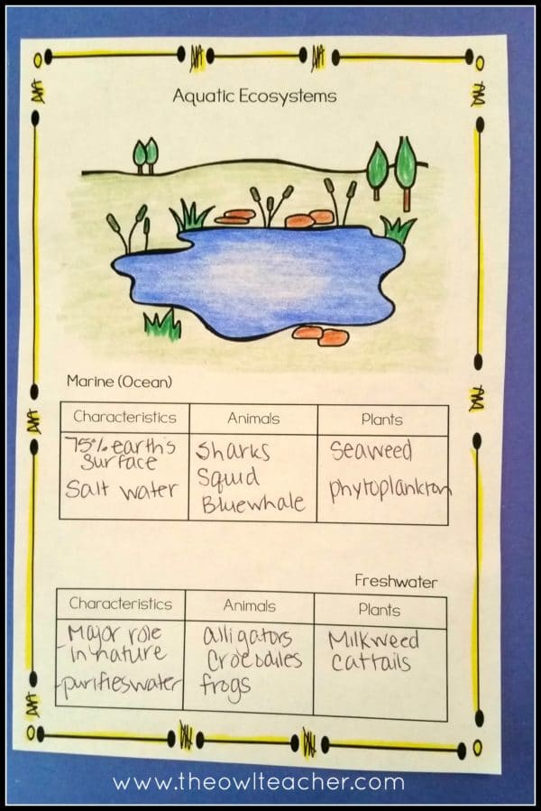 Going Wild for Ecosystems - The Owl Teacher