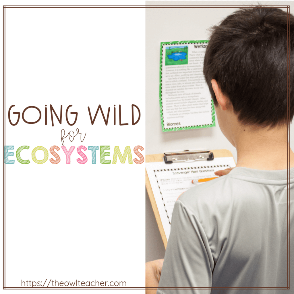 Going Wild for Ecosystems - The Owl Teacher