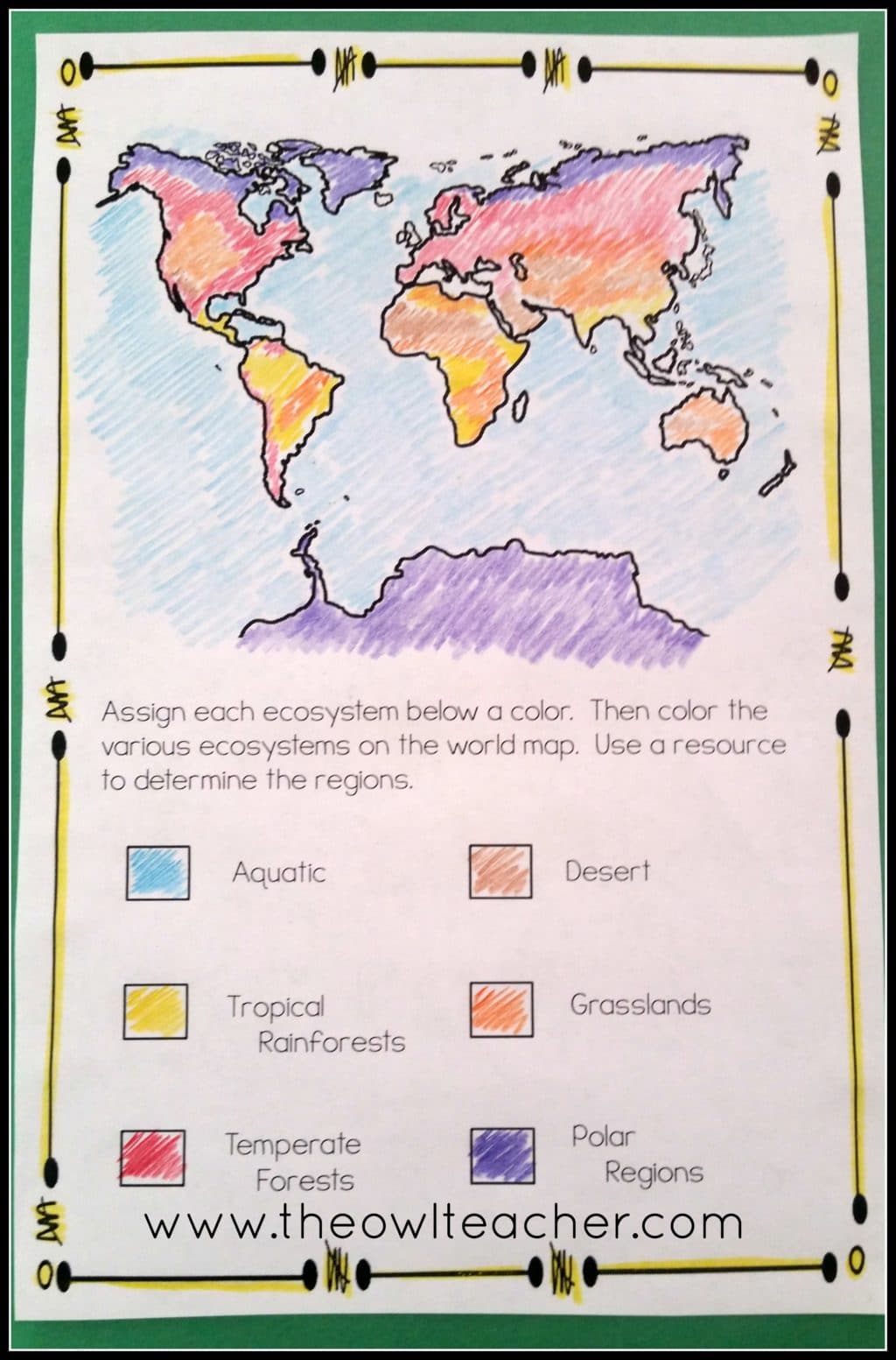 Going Wild for Ecosystems - The Owl Teacher