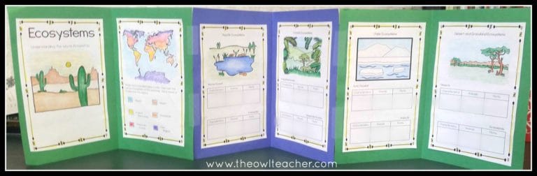 Going Wild for Ecosystems - The Owl Teacher
