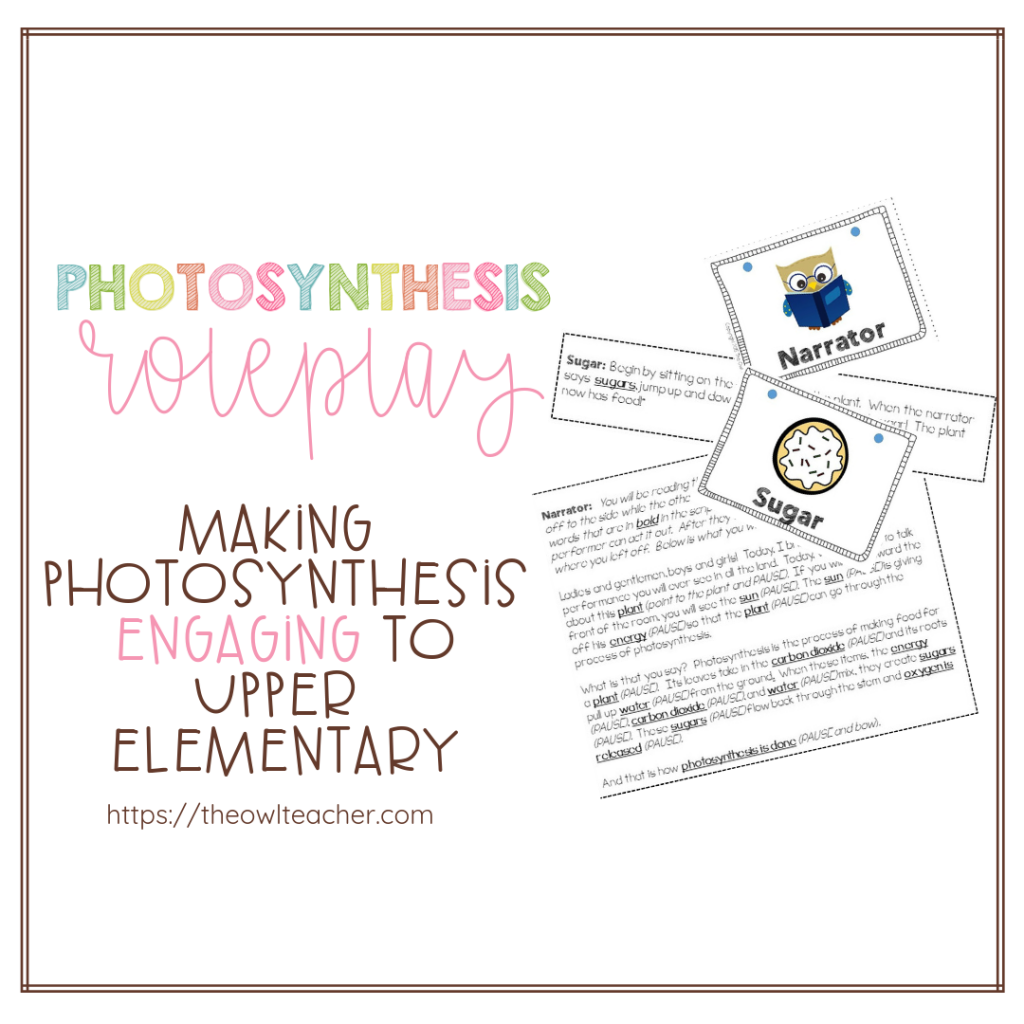 Making Photosynthesis Engaging to Upper Elementary - The Owl Teacher