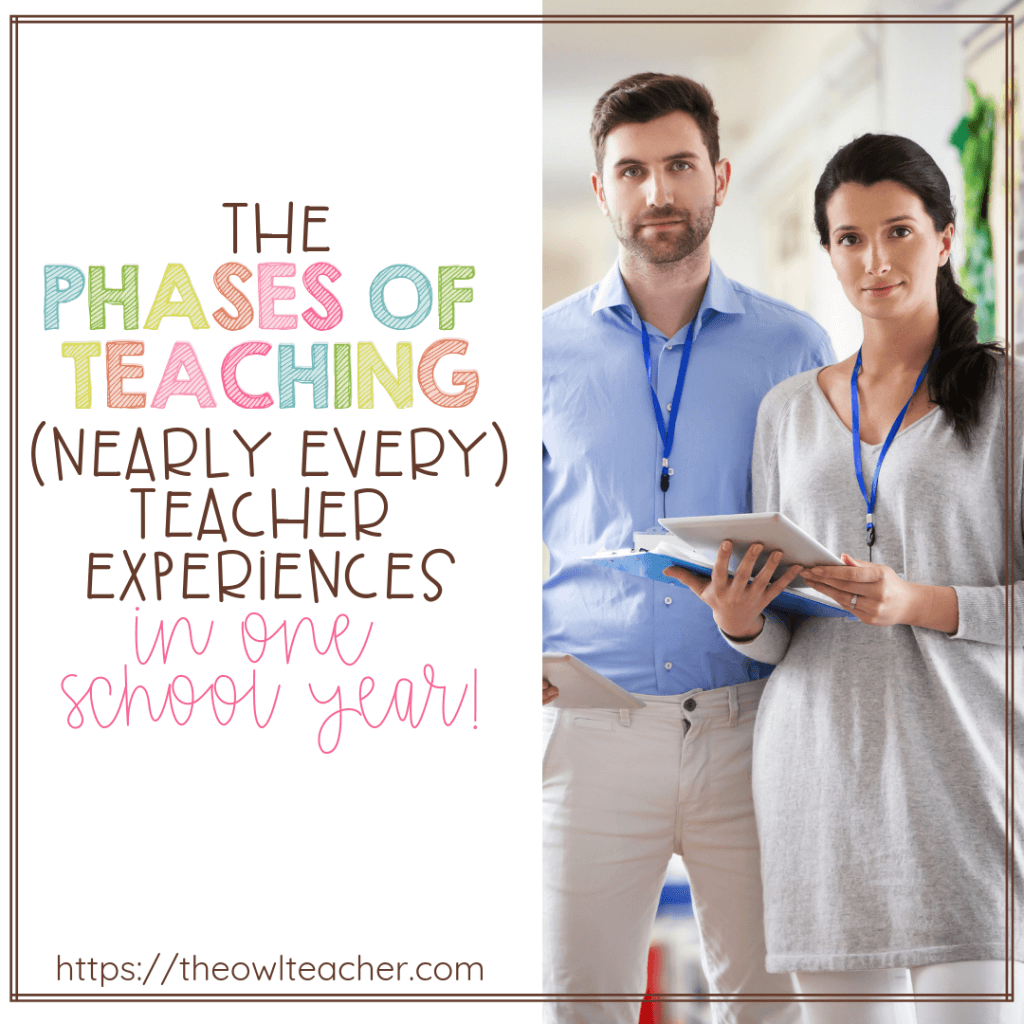 The Phases of Teaching Every Teacher Experiences - The Owl Teacher
