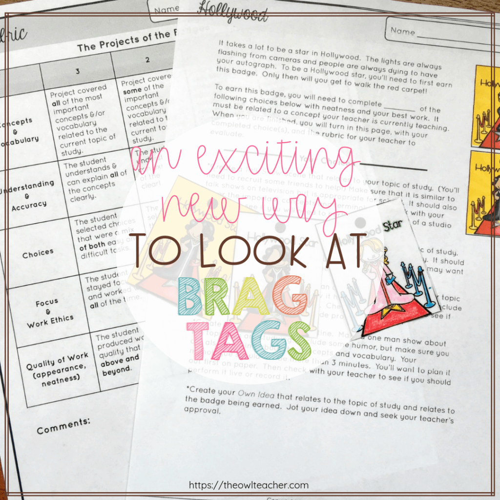 An Exciting New Way to Look at Brag Tags - The Owl Teacher