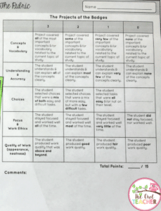 An Exciting New Way to Look at Brag Tags - The Owl Teacher