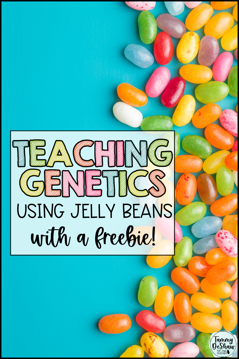 Teach Genetics with Jelly Beans - The Owl Teacher by Tammy DeShaw