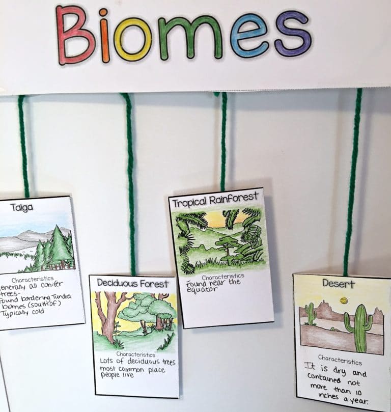 Ecosystems Hanging Mobile {Biomes too} - The Owl Teacher