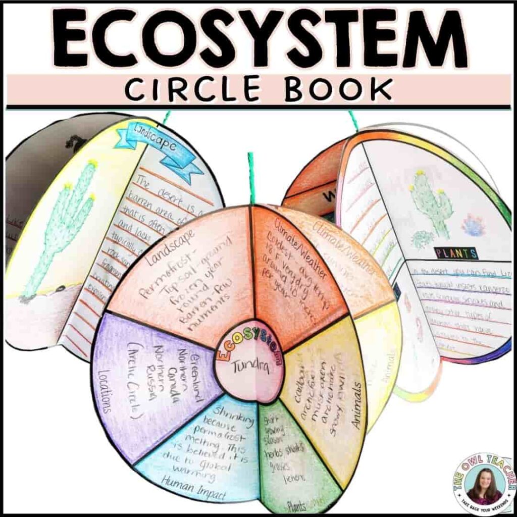 10 Ecosystem Project Ideas - The Owl Teacher