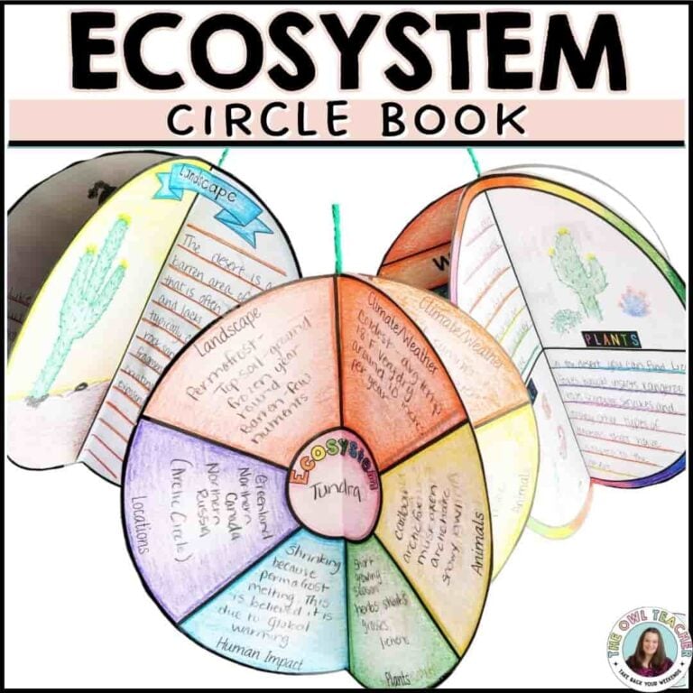 Ecosystem Activity | Circle Book Craftivity Printable & Digital (Google ...