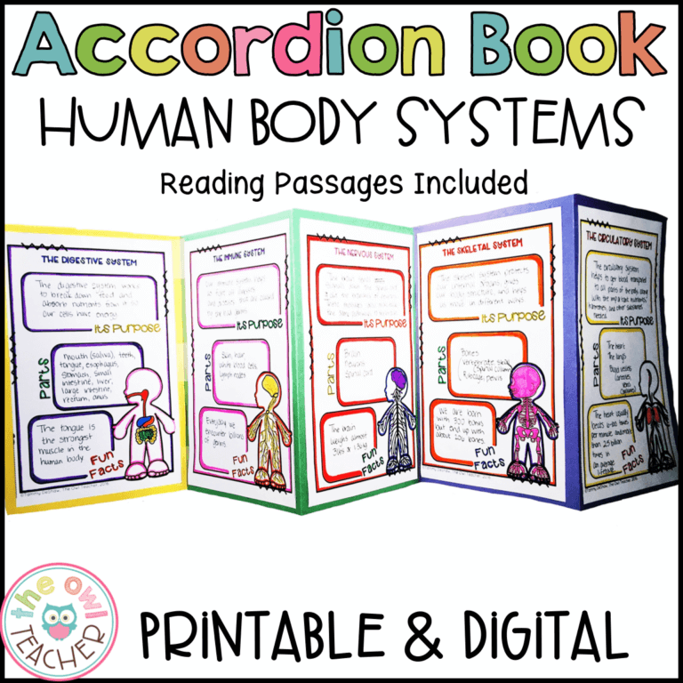 A Collection of Ideas for Teaching the Human Body Systems - The Owl Teacher
