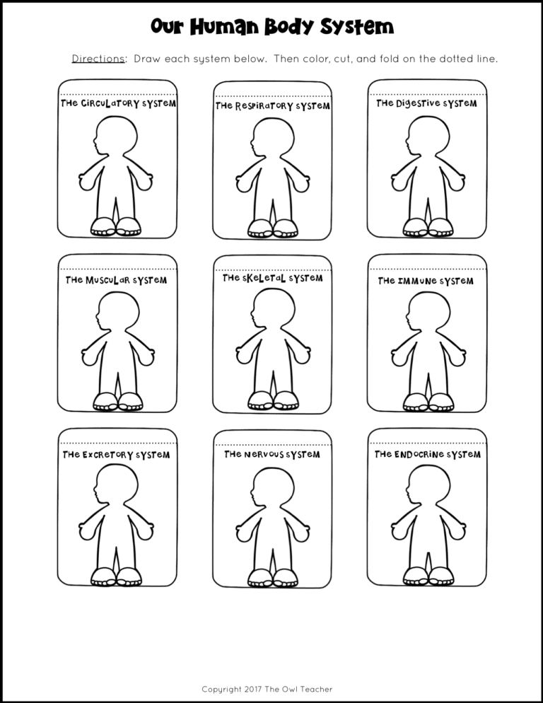 Human Body iPad Craftivity - The Owl Teacher