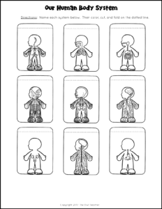 Human Body iPad Craftivity - The Owl Teacher