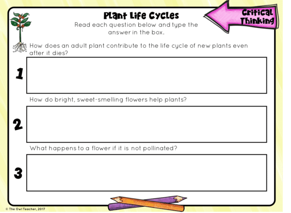 Life Cycles for Google Classroom - The Owl Teacher