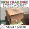 Severe Weather Activity | STEM Activity Printable & Digital (Google ...