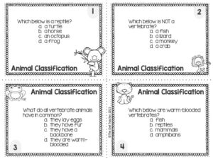 Animal Classification Task Cards Vertebrates Invertebrates for 3rd ...