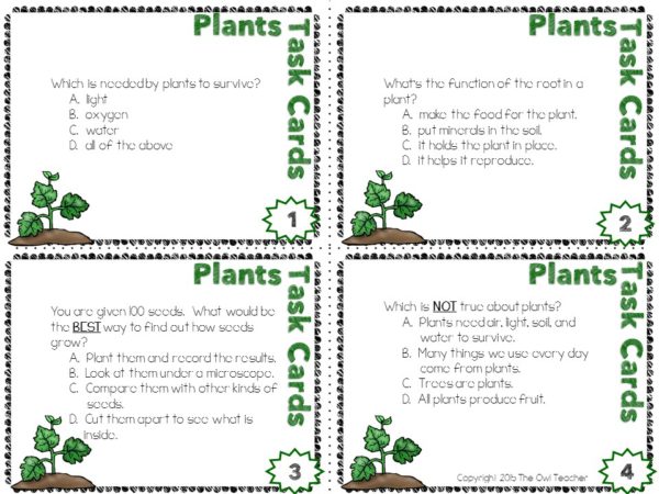 Plant Task Cards - The Owl Teacher