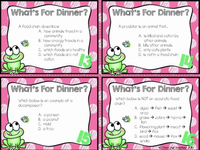 Food Chains Task Cards - The Owl Teacher