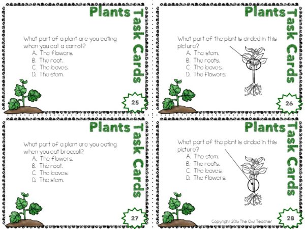 Plant Task Cards - The Owl Teacher