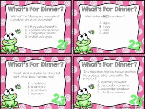 Food Chains Task Cards - The Owl Teacher