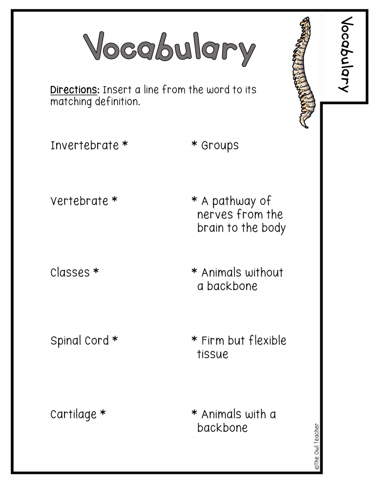 Vertebrate & Invertebrate | Animal Classification | Booklet Printable ...