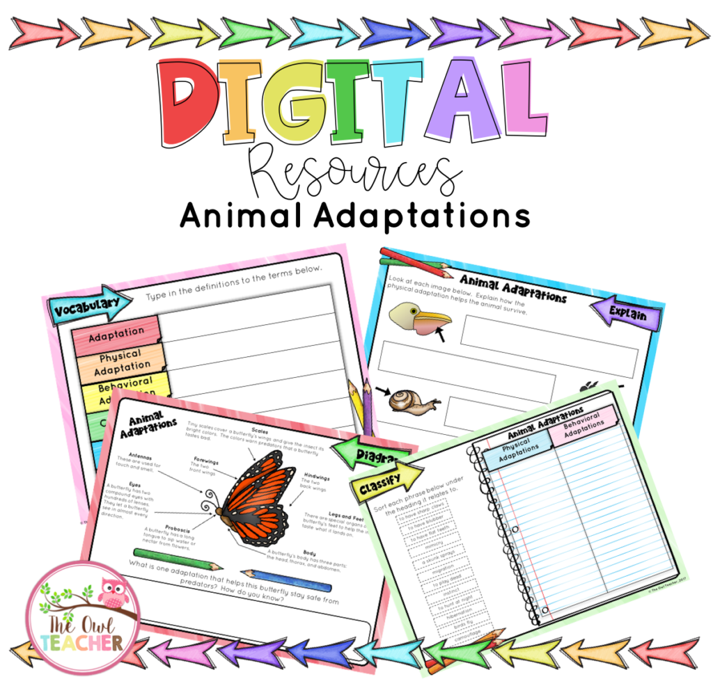Animal Adaptations for Google Classroom - The Owl Teacher