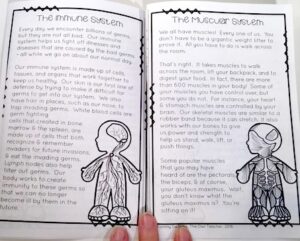 Human Body Systems Activity | Foldable Booklet Printable & Digital ...