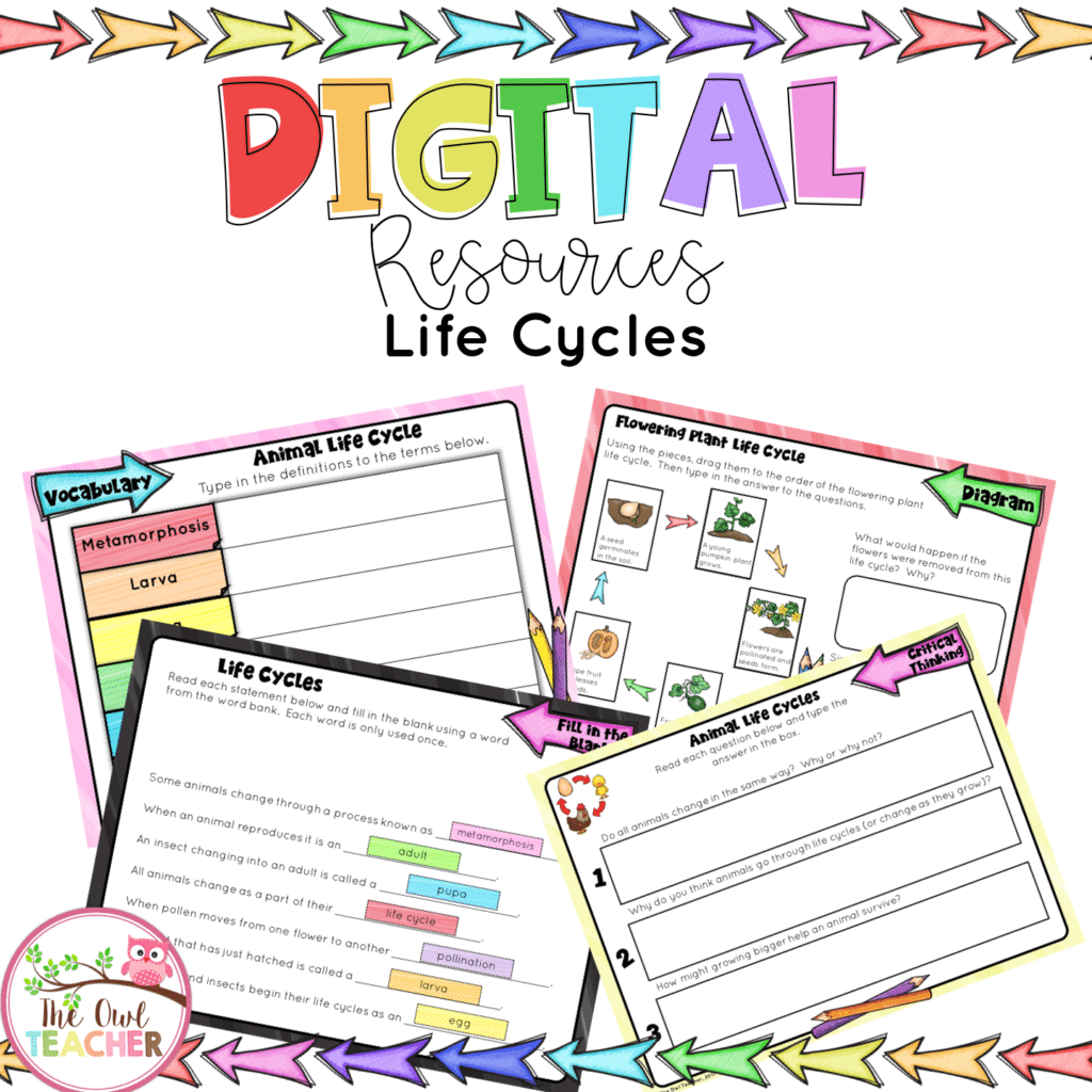 Life Cycles for Google Classroom - The Owl Teacher