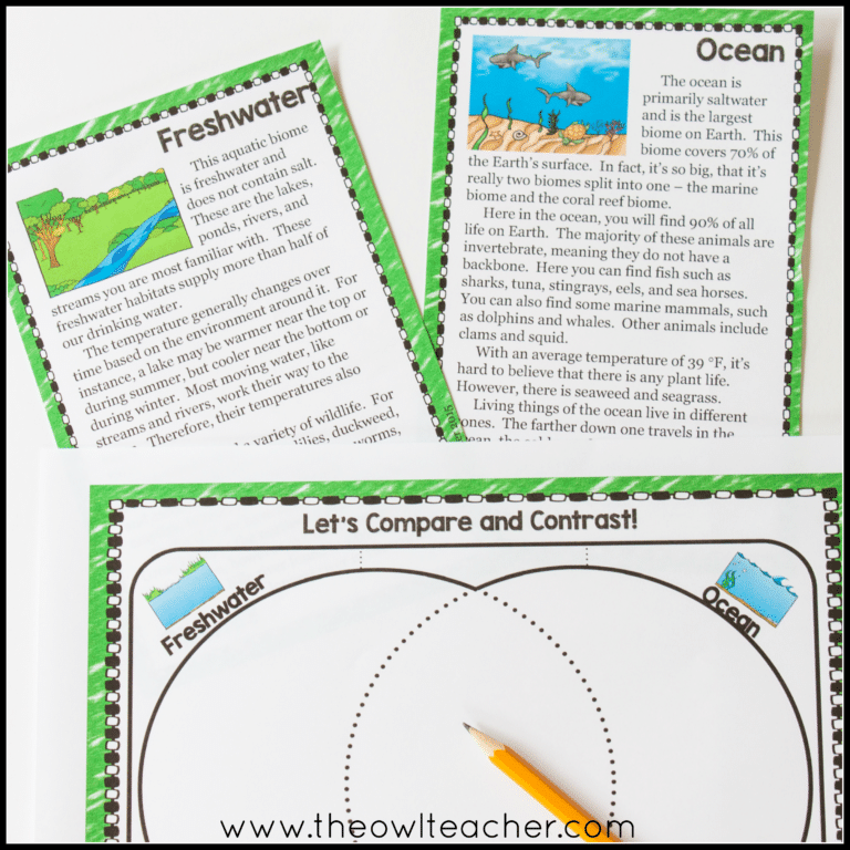 Ecosystems Scavenger Hunt Printable & Digital (Google) - The Owl Teacher