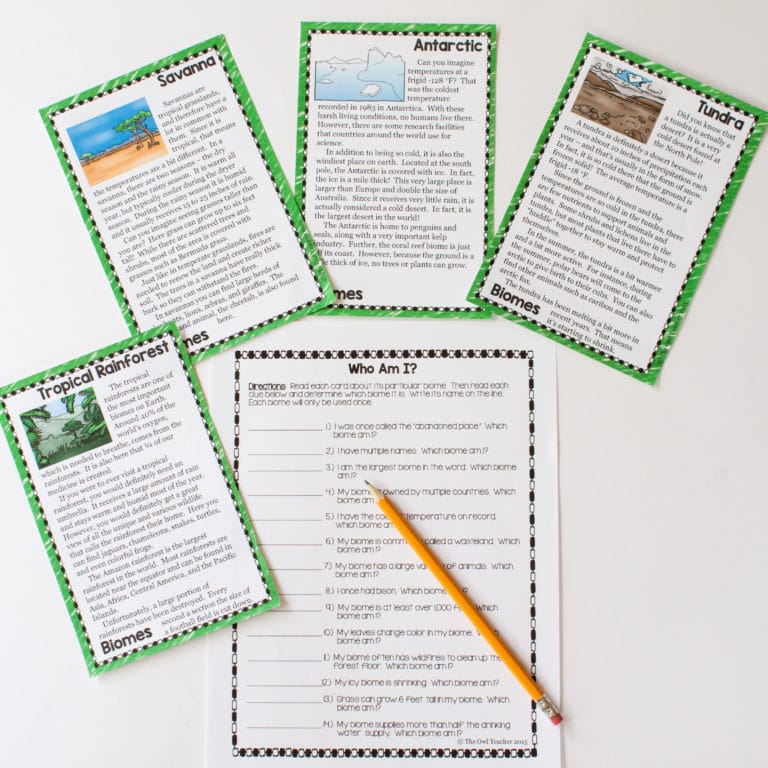 Ecosystems Scavenger Hunt Printable & Digital (Google) - The Owl Teacher