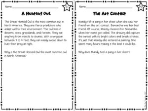 Inference Reading Practice Printables & Digital (Google) - The Owl Teacher