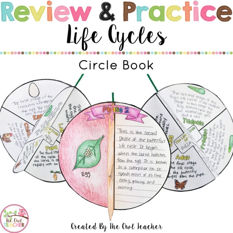 Life Cycles Circle Book Craftivity - The Owl Teacher