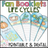Life Cycle Fans - The Owl Teacher