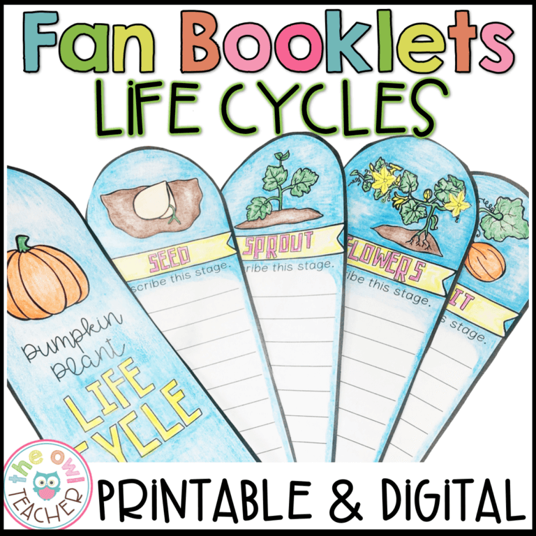 Life Cycle Fans - The Owl Teacher