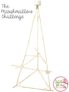 Beginning of the Year Science Activities - The Owl Teacher