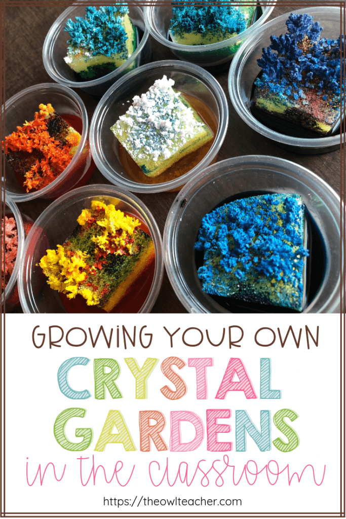 Growing Your Own Crystal Garden - The Owl Teacher
