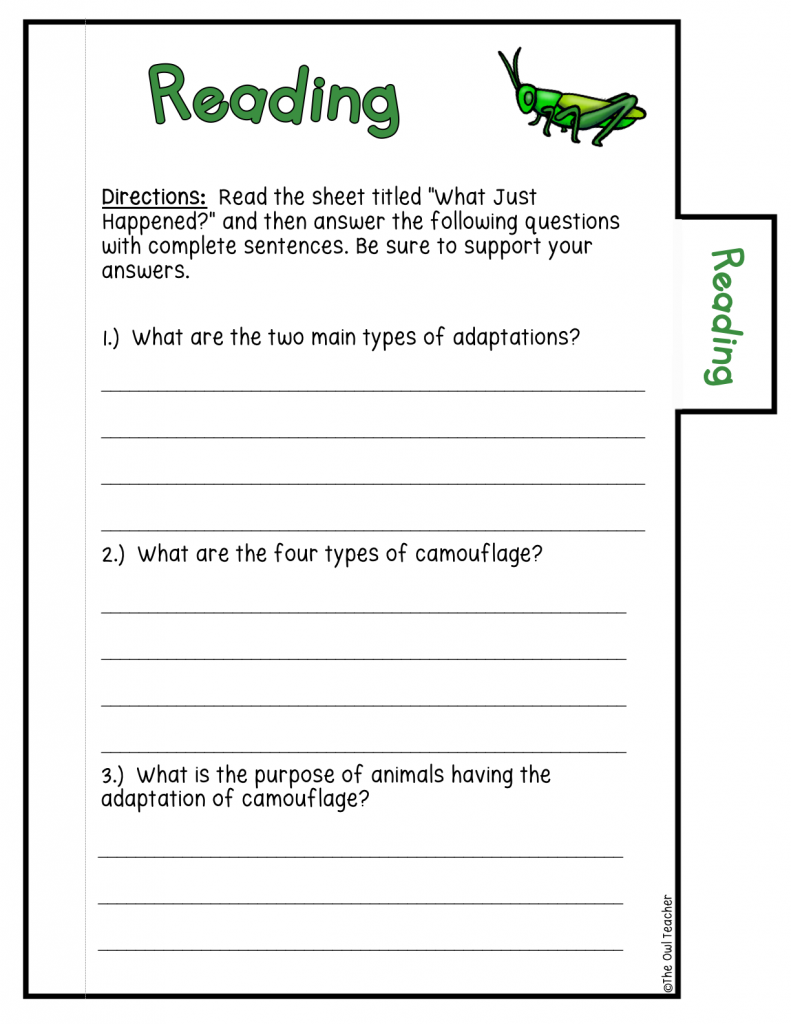 Camouflage Investigation Booklet (Adaptations) Printable & Digital ...