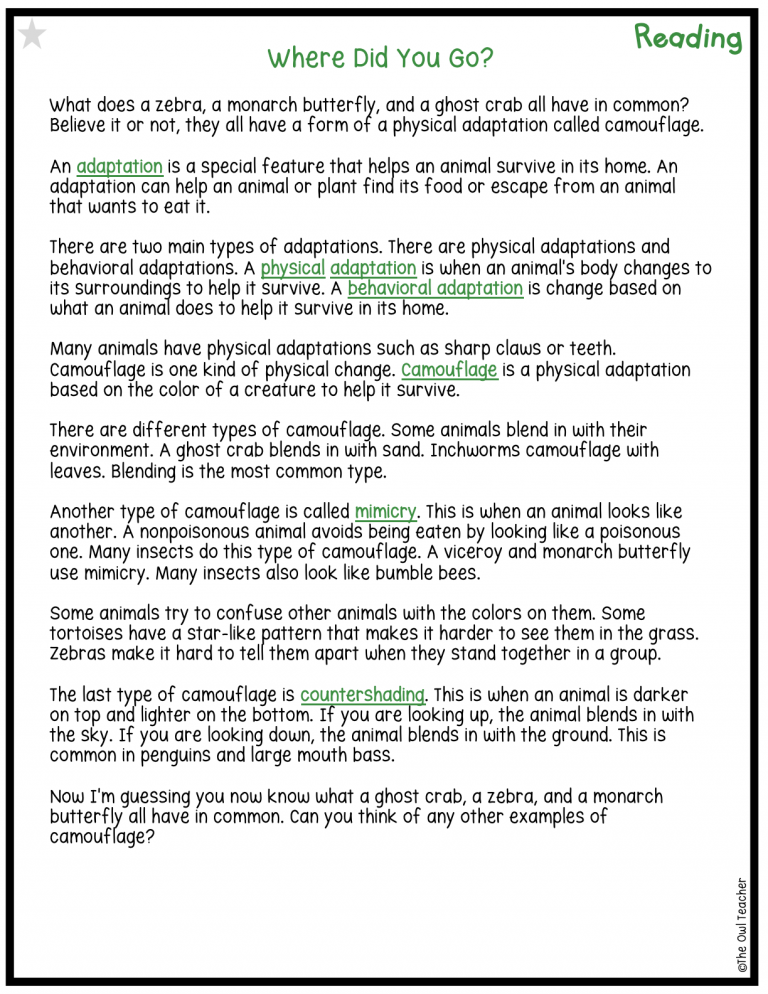 Camouflage Investigation Booklet (Adaptations) Printable & Digital ...