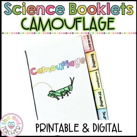 Activities to Investigate Camouflage - The Owl Teacher