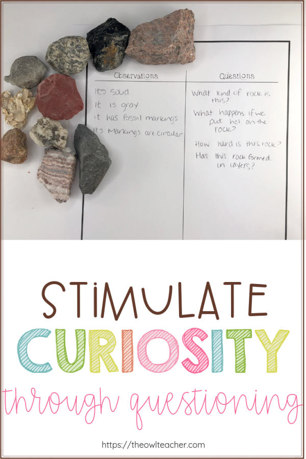 Stimulate Curiosity through Questioning - The Owl Teacher