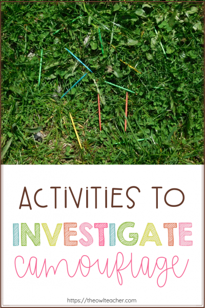 Activities to Investigate Camouflage - The Owl Teacher