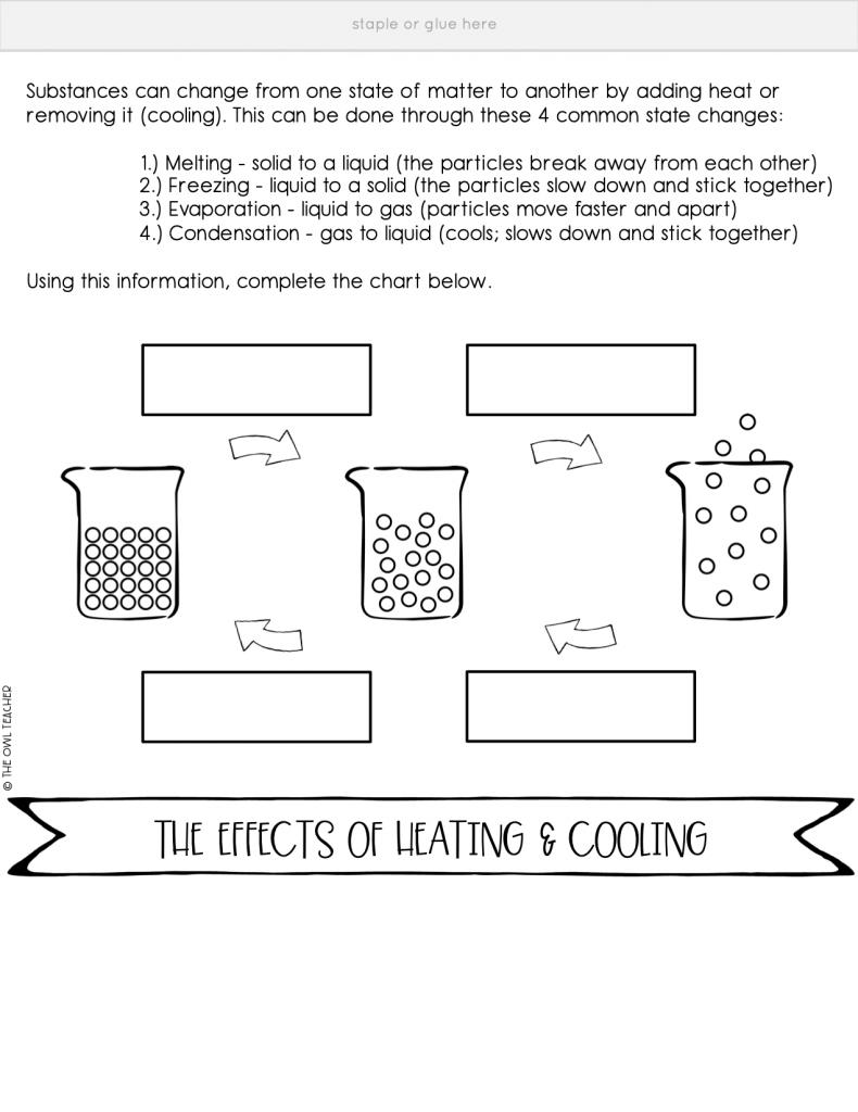 Matter Flip Book - The Owl Teacher
