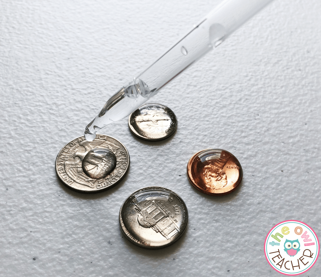 Activities to Help Teach Scientific Process Skills - The Owl Teacher