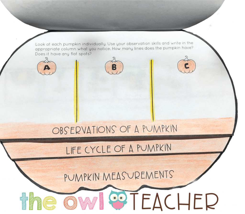 Engaging Math & Science Pumpkin Activities - The Owl Teacher