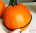 Engaging Math & Science Pumpkin Activities - The Owl Teacher