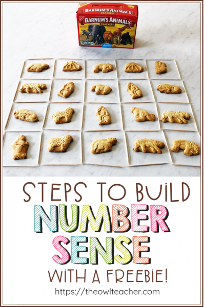 Steps to Build Number Sense - The Owl Teacher