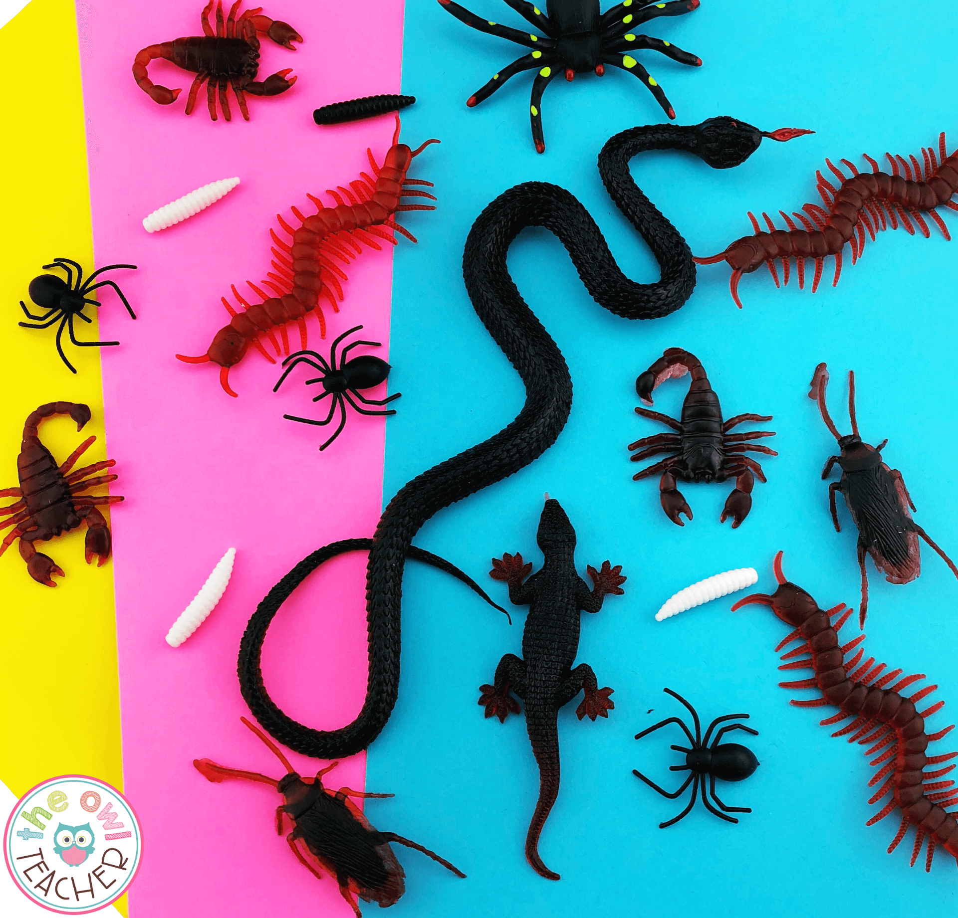 10 Activities That Will Electrify Line Plots - The Owl Teacher